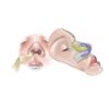 Doyle Internal Nasal Splint (Pair) – Technomed (India) Private Limited